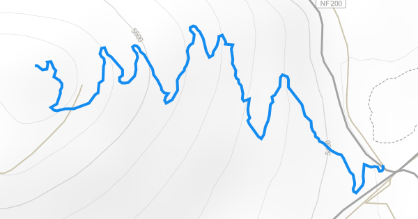 Ponderosa (Pondo) Mountain Biking Trail - Bend, Oregon