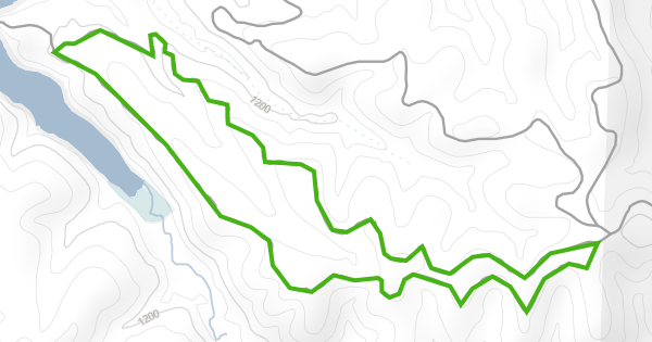 Bashore Ridge Multi Trail - Rogers, Arkansas