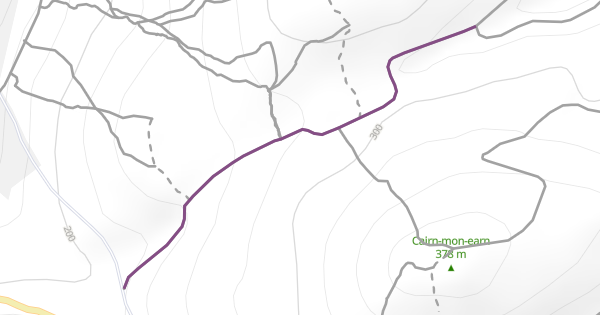 Forest Path Multi Trail - Durris Forest, Durris