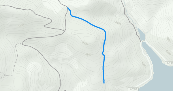 Fonfria Multi Trail - Tamaria, Guardo | Trailforks