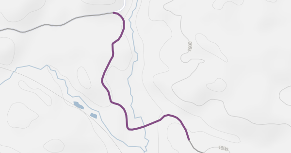 NCT - Little Spruce Lake Road Roadwalk Hiking Trail - - Michigan