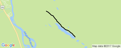 Trail 9a (1st Lake) Multi Trail - Jasper, Alberta