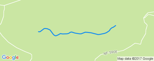 Cross Cut Mountain Biking Trail - Columbia Falls, MT