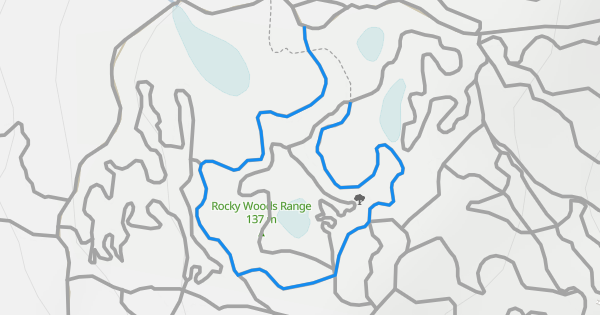 NEMBA Loop Multi Trail - Milford, Massachusetts