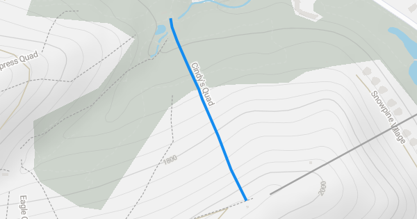 Cindy Skiing Trail - Ellicottville, New York