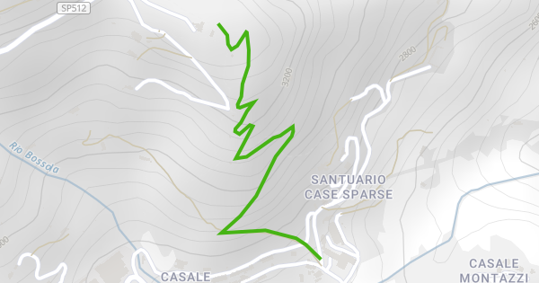 San Carlona Mountain Biking Trail - | Trailforks