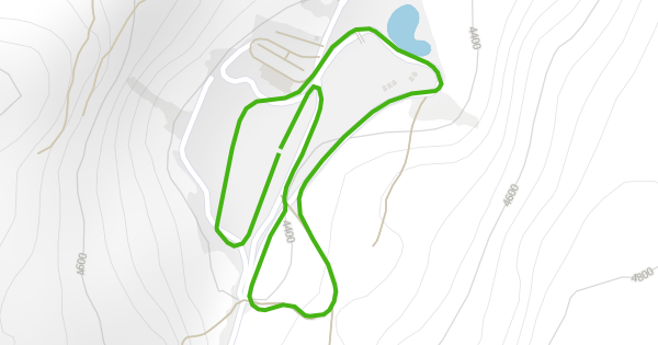 Pokljuka Roller Ski Nordic Skiing Trail - Bohinj