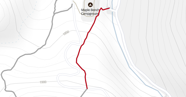 Maple Lake Mountain Biking Trail - Payson, Utah
