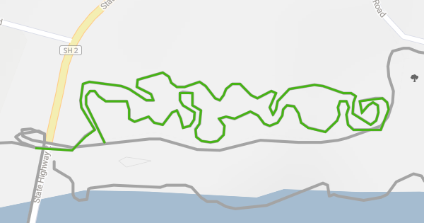 Pines Loop Mountain Biking Trail - Waipukurau