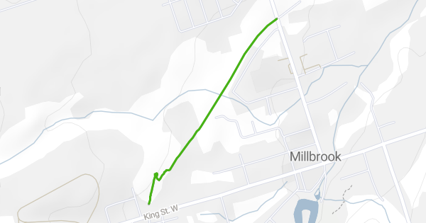 Station Trail Multi Trail - Millbrook, Ontario