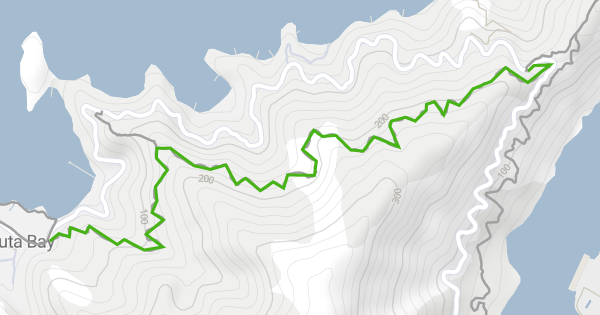 Link Pathway Multi Trail - | Trailforks