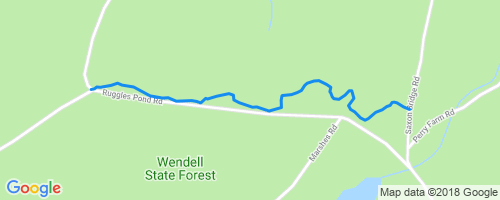 Maple Leaf Trail Mountain Biking Trail - Wendell, MA