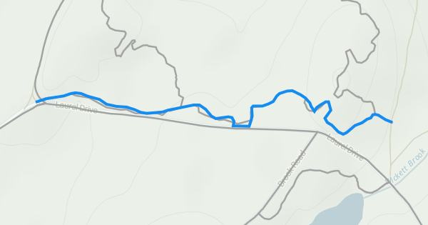 Maple Leaf Trail Mountain Biking Trail - Wendell, MA