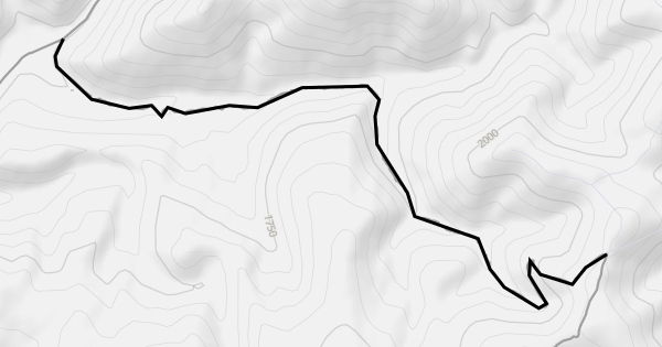 Cayuse Mountain Multi Trail - Helena, Montana