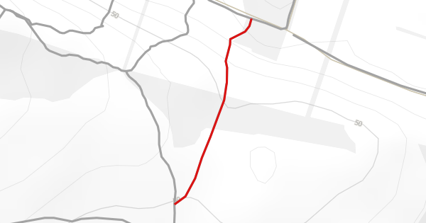Old DH route Mountain Biking Trail - Lossiemouth