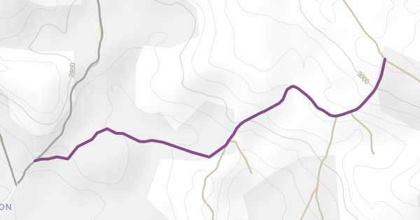 Piste Slalom Multi Trail - Lozere | Trailforks
