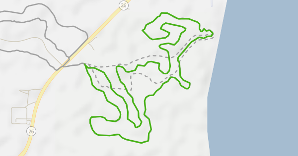 Lake Pithlachocco Trail Multi Trail - Gainesville, FL