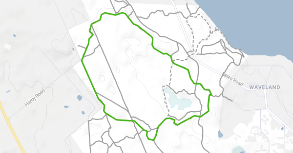 Forest Loop Multi Trail - Courtenay, British Columbia