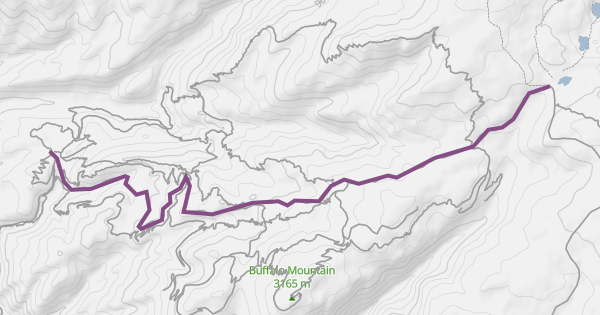 Buff Pass Rd 60 Multi Trail - Steamboat Springs, Colorado