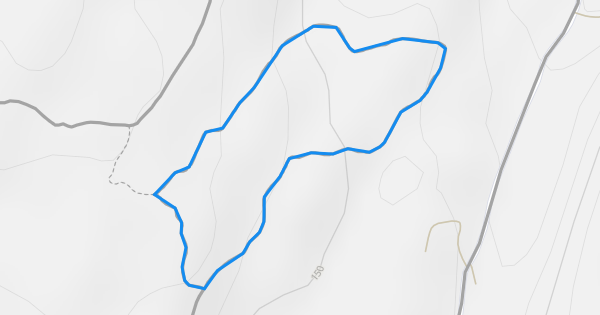 Bluestone loop Multi Trail - Kingston, New York