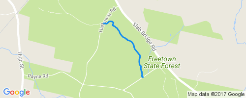 Massasoit Trail Mountain Biking Trail - Freetown, MA