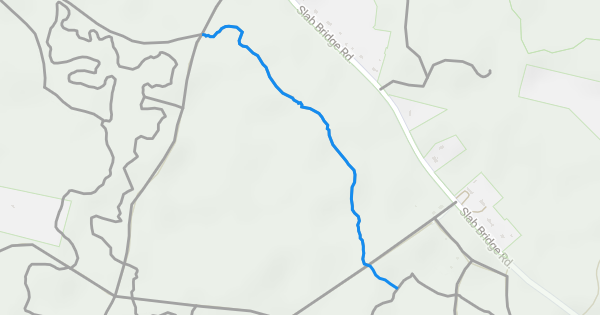Massasoit Trail Mountain Biking Trail - Freetown, MA