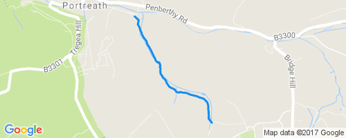 Illogan Woods Main Line Mountain Biking Trail