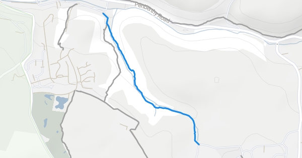 Illogan Woods Main Line Mountain Biking Trail
