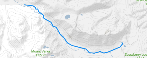 Green River Trail Mountain Biking Trail - Randle, WA