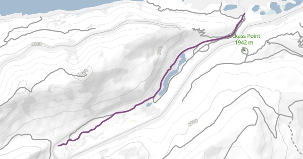 Coldstream Road Multi Trail - Truckee, California