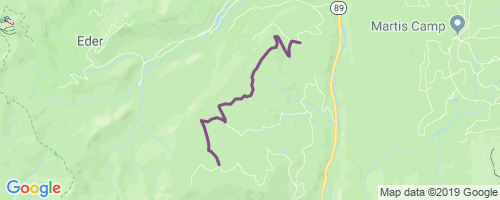 Jackass Road Mountain Biking Trail - Truckee, California