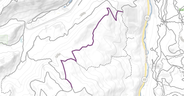 Jackass Road Multi Trail - Truckee, California