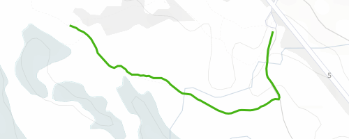 Jackman Flats Lichen Trail Multi Trail - Valemount