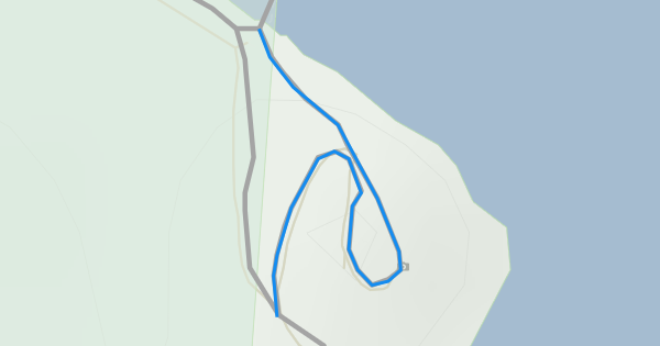 Morillo Mountain Biking Trail - Humacao | Trailforks