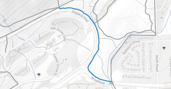 SFU-Al Connector Mountain Biking Trail - Burnaby, BC