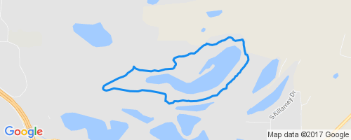 Long Lake Loop Mountain Biking Trail - Palmer, Alaska