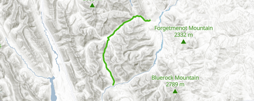 Little Elbow Multi Trail - Kananaskis Village, Alberta