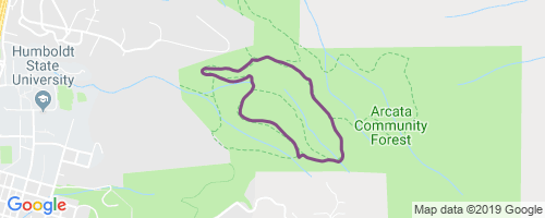 Community Forest Loop Road (#8) Mountain Biking Trail - Arcata