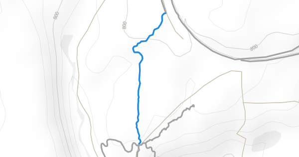Cog Wild Mountain Biking Trail - National Park